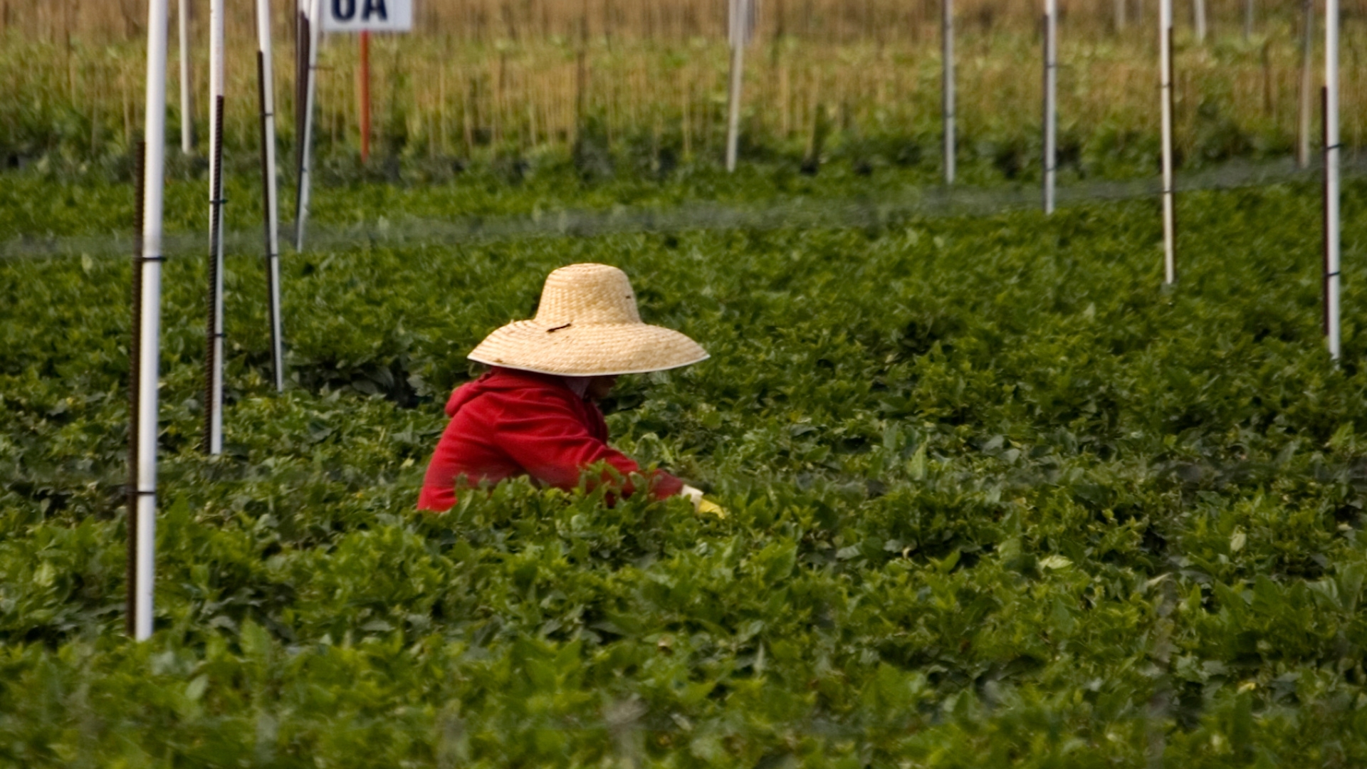 National Study: Undocumented Immigrants Contribute $227M in Oklahoma ...
